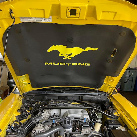 FORD MUSTANG – Duque Hoodliner Productions